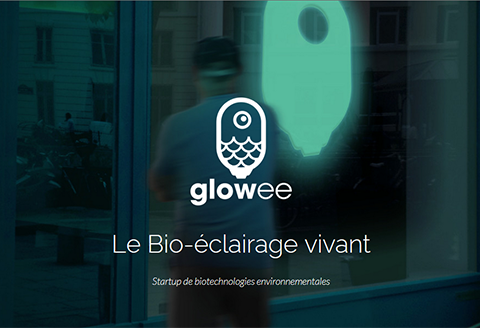 Glowee : nouvel espoir pour l'éclairage public ? - ToysAndGeek
